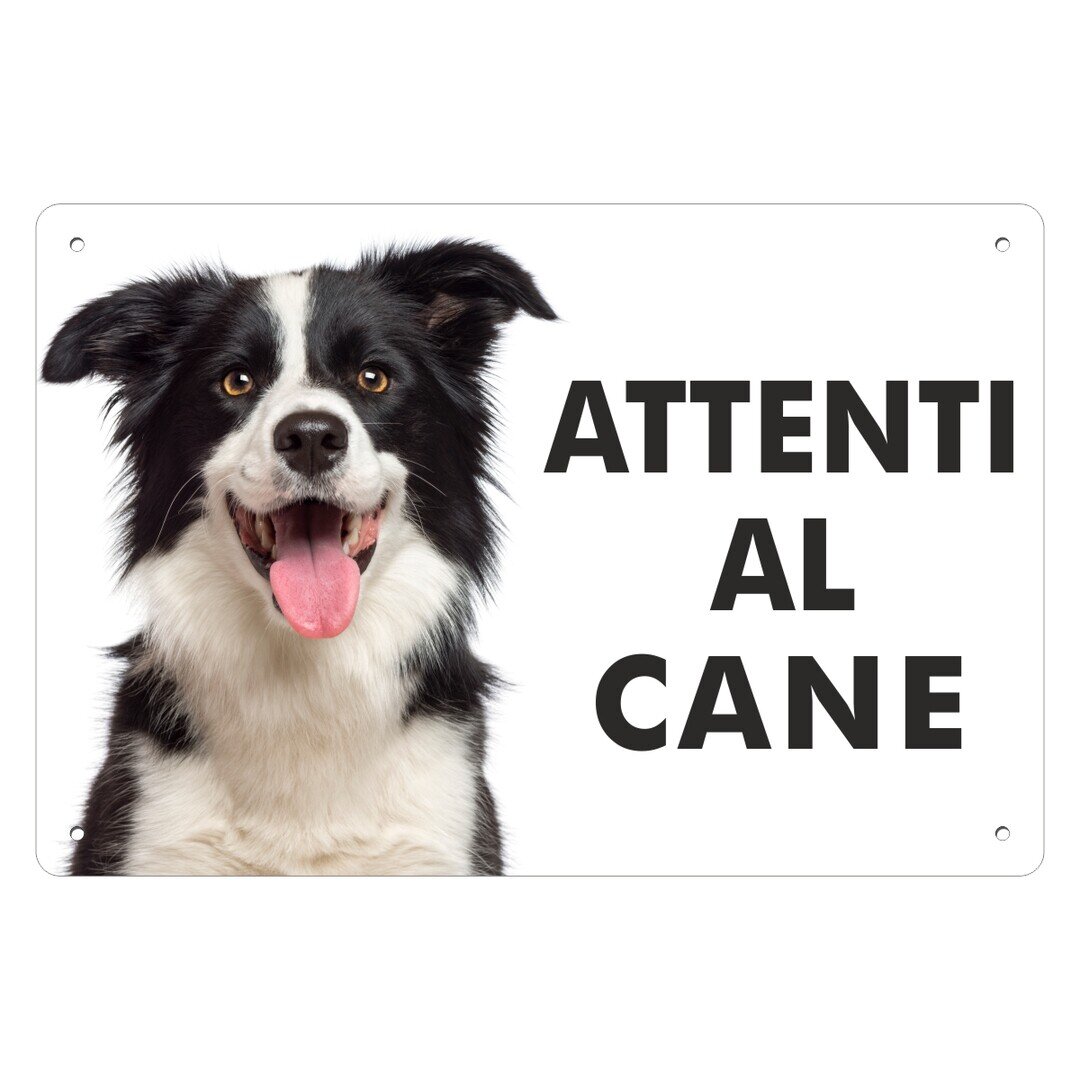BORDER COLLIE cartello attenti al cane - Pubblimania BORDER COLLIE cartello attenti al cane - Pubblimania